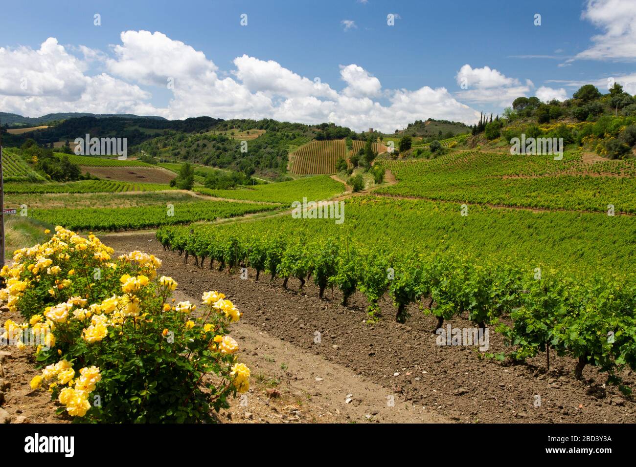 Tourreiles hi-res stock photography and images - Alamy