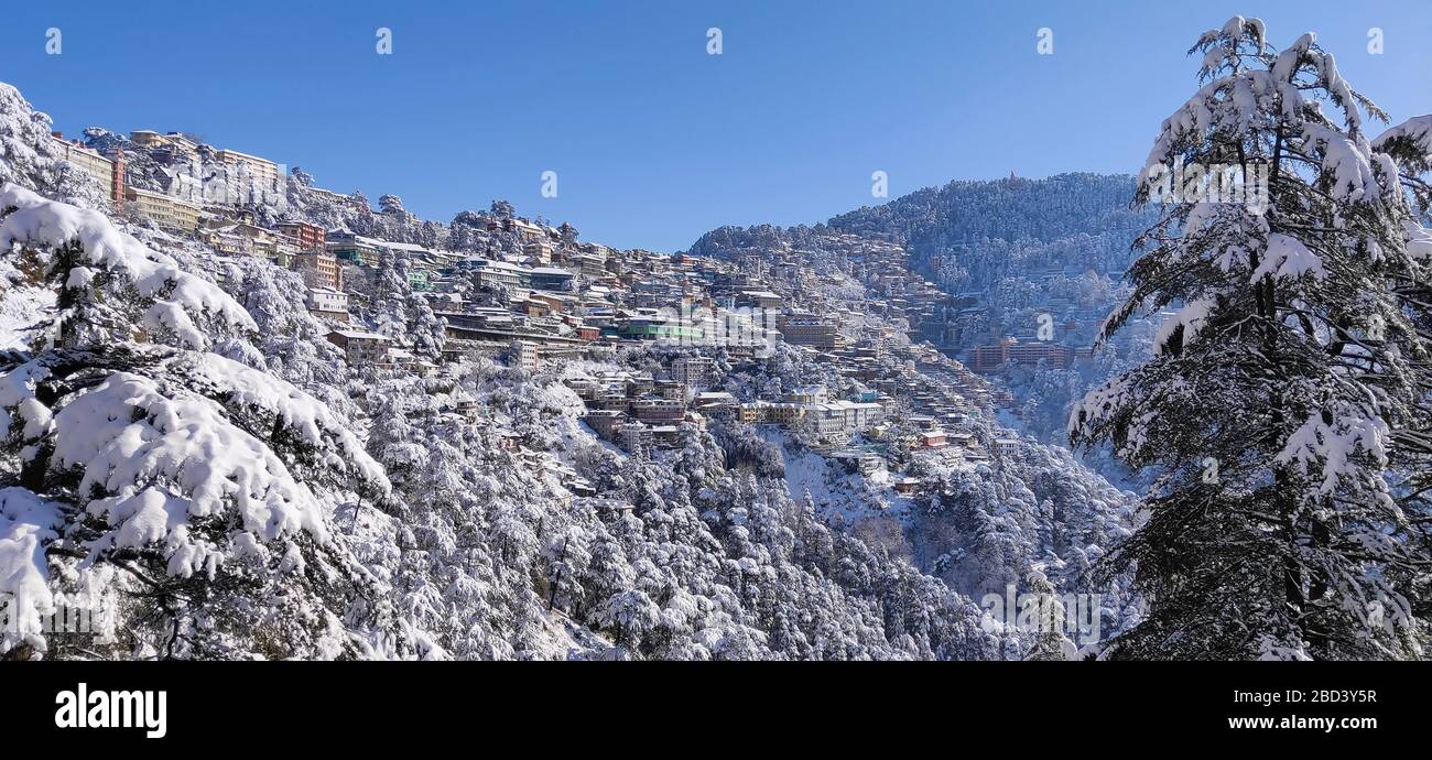 After Snowfall a Very Beautiful City in Shimla Stock Photo - Alamy