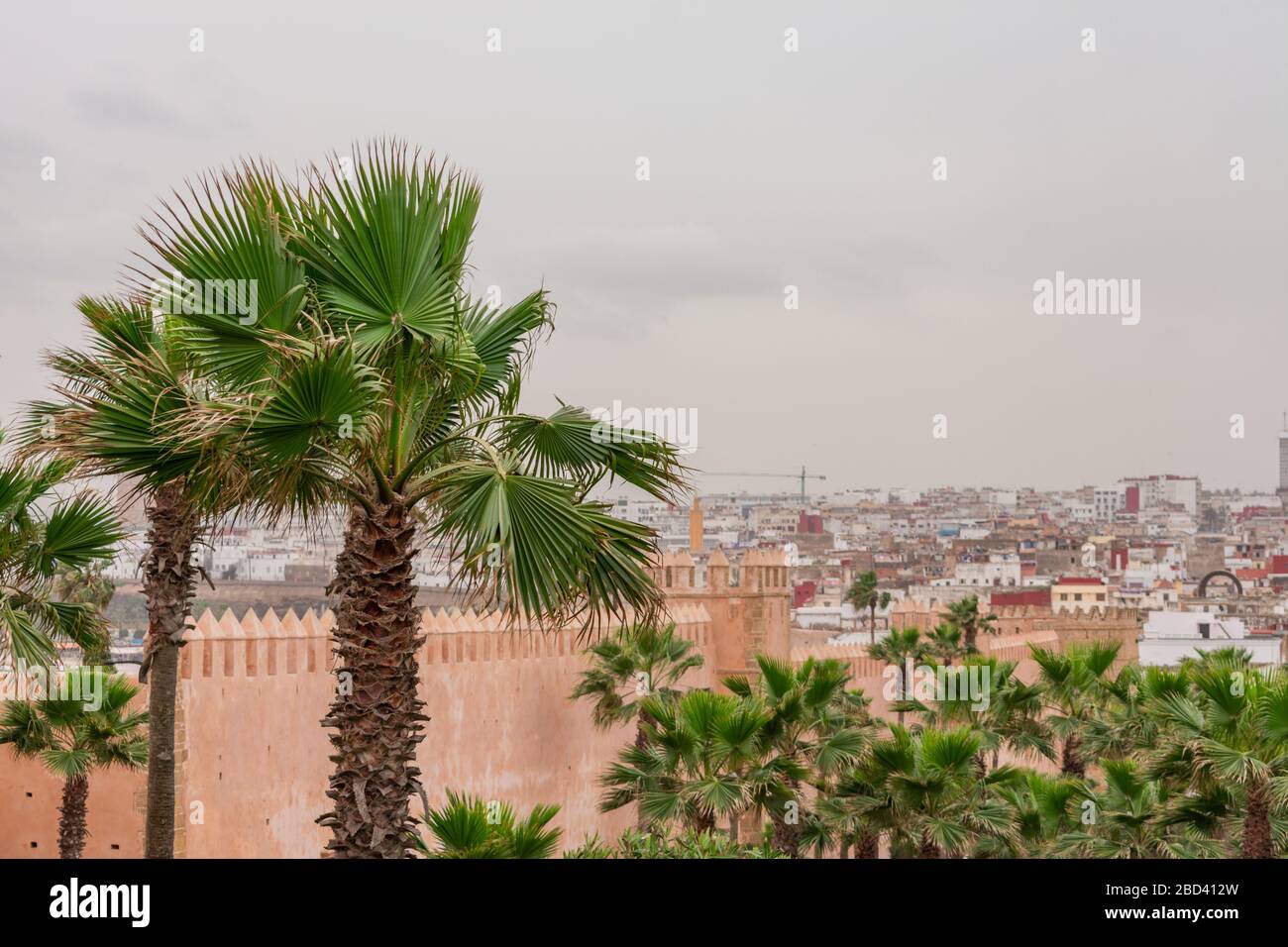 Moroccan palm trees hi-res stock photography and images - Alamy