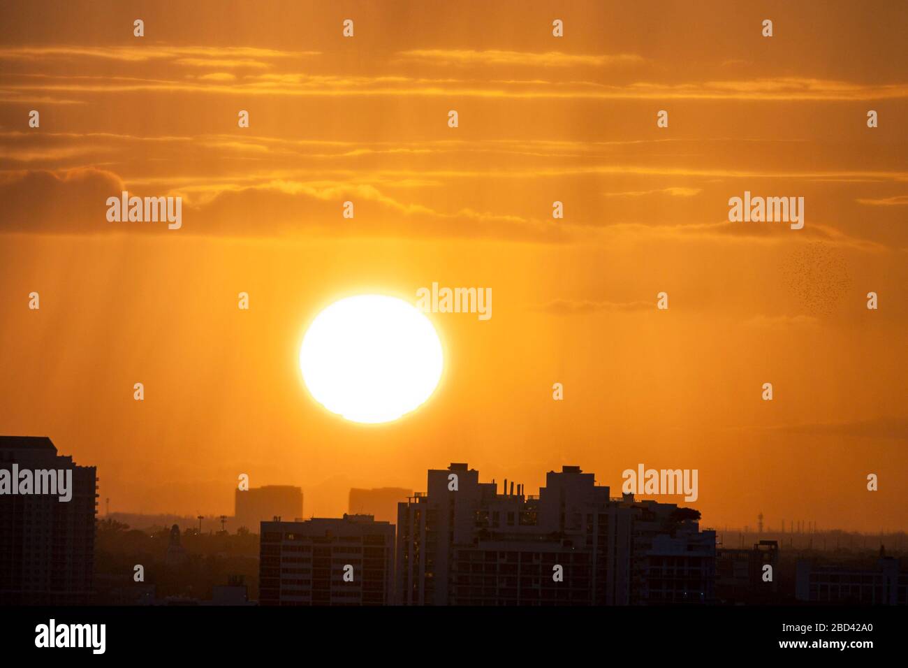 Miami Beach Florida,climate crisis change global warming,sunset weather ...