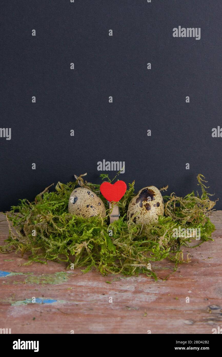 Two quail eggs and a heart between them stand on the green can. Easter ...