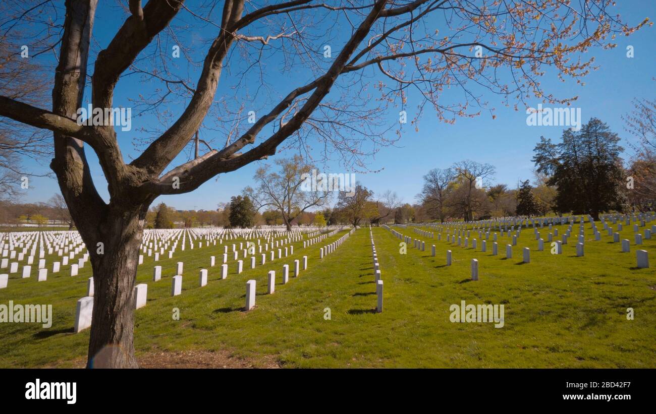 Famous Arlington Cemetery in Washington DC - travel photography Stock ...