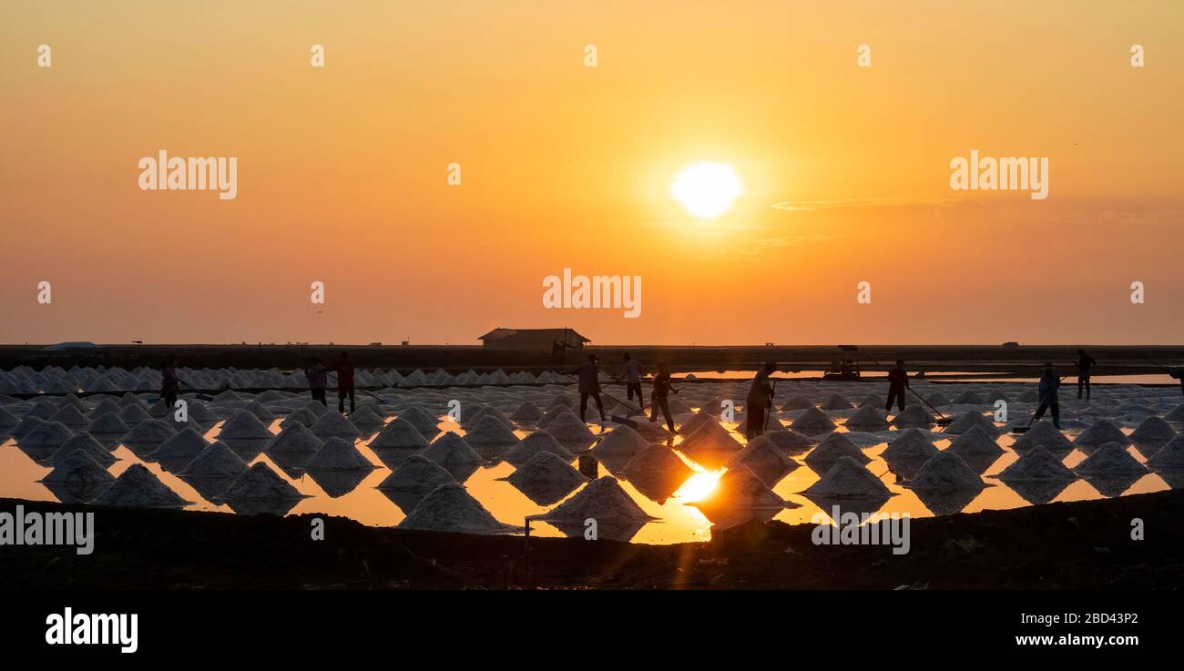 Salt process hi-res stock photography and images - Alamy