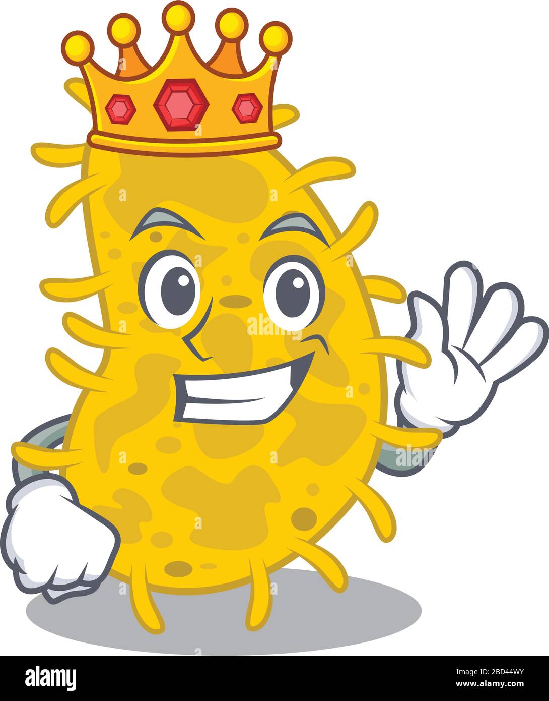 Spirilla bacteria Cut Out Stock Images & Pictures - Alamy