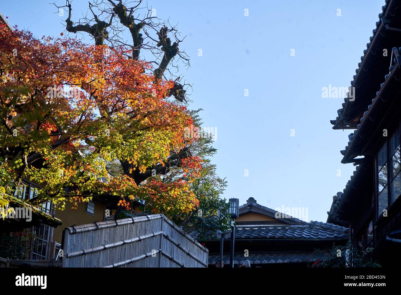 Beautiful sunny autumn hi-res stock photography and images - Alamy