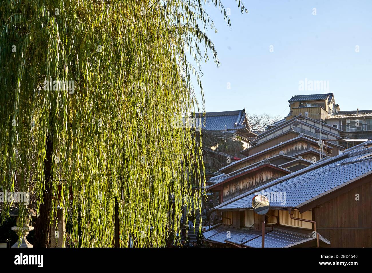 Willow roof hi-res stock photography and images - Alamy