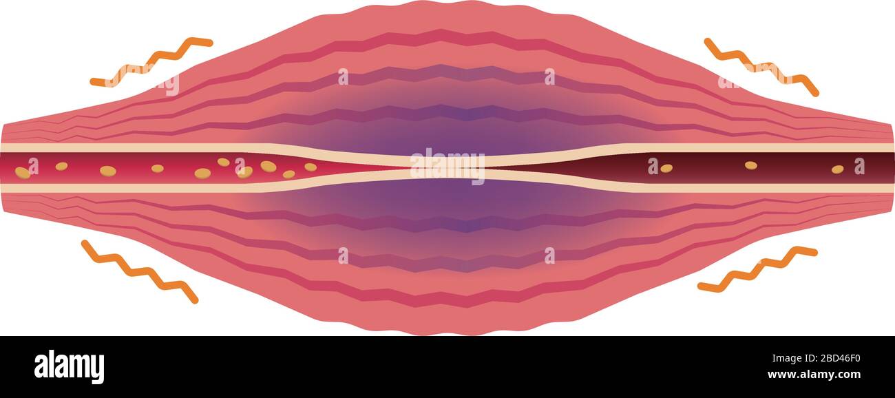 Health blood vessel icon Cut Out Stock Images & Pictures - Alamy