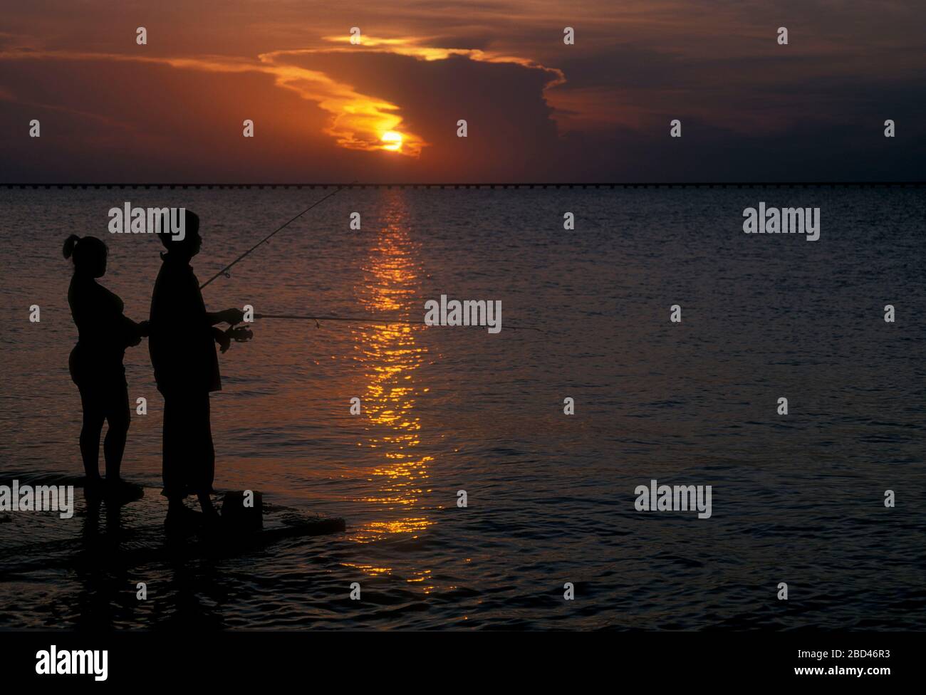 Louisiana bayou sunset hi-res stock photography and images - Alamy