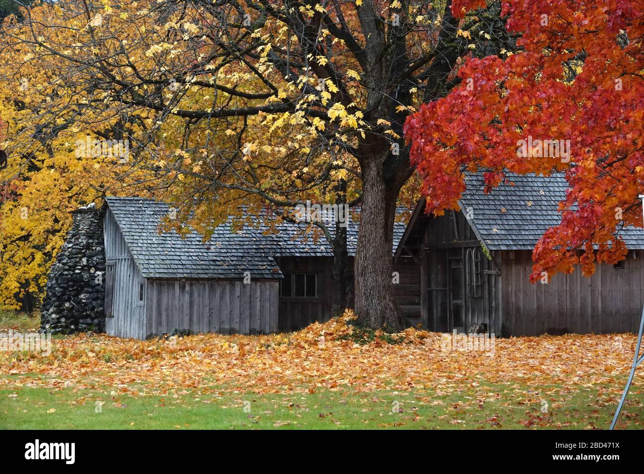 The Buckner cabin was built in 1889 by Willam Buzzard and altered in ...