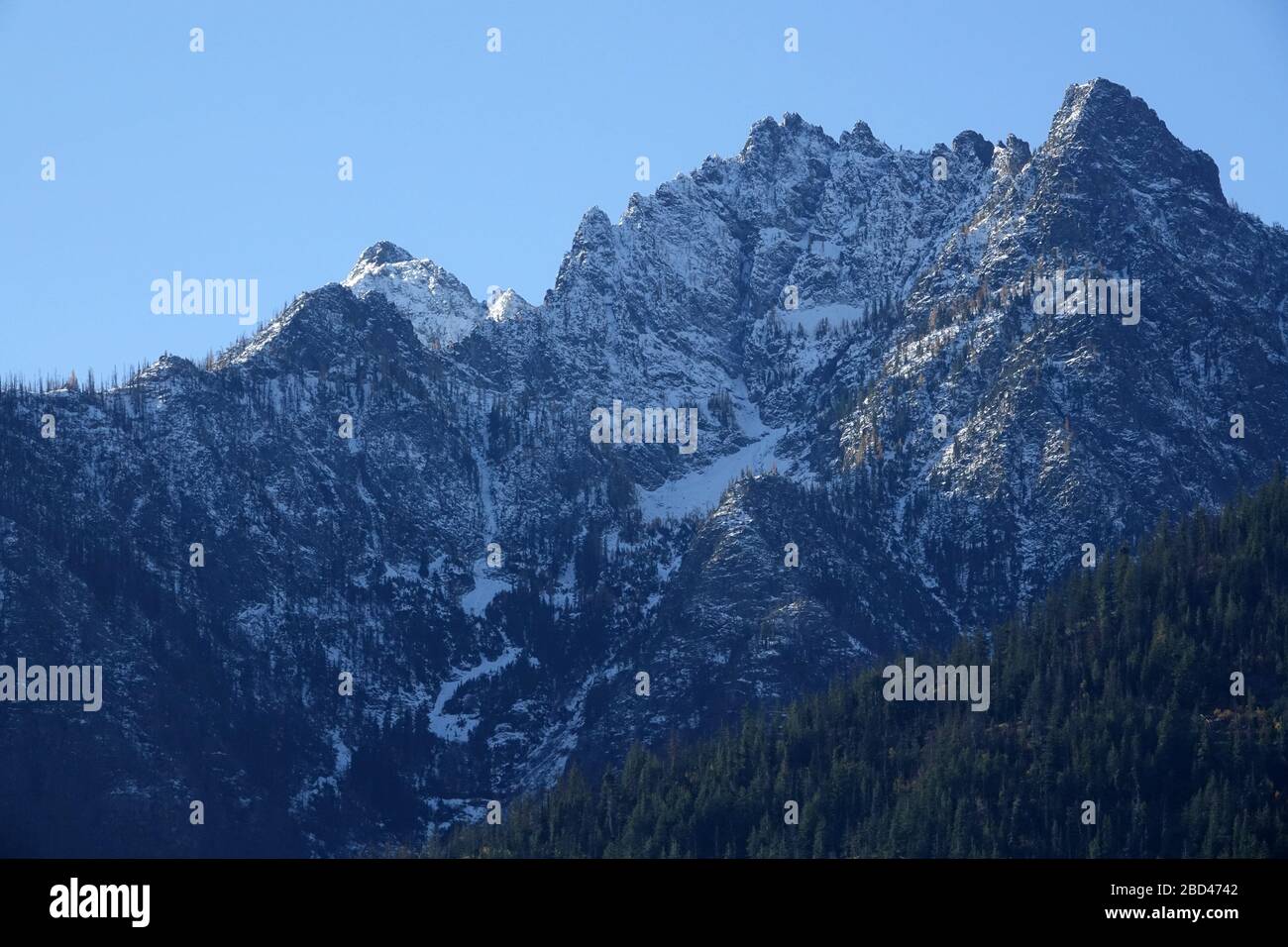 Castle Rock is an 8,137-foot (2,480-metre) mountain summit located on ...