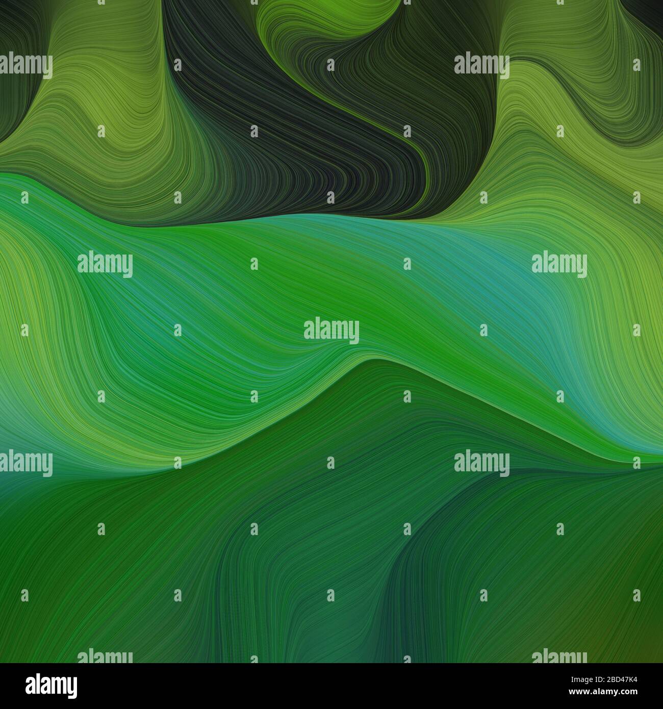 elegant beautiful square graphic with forest green, sea green and ...