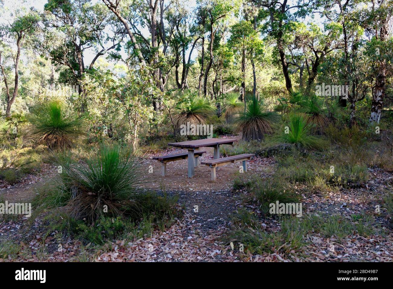 Wooden table and chair setting in Australian bush, Western Australia ...