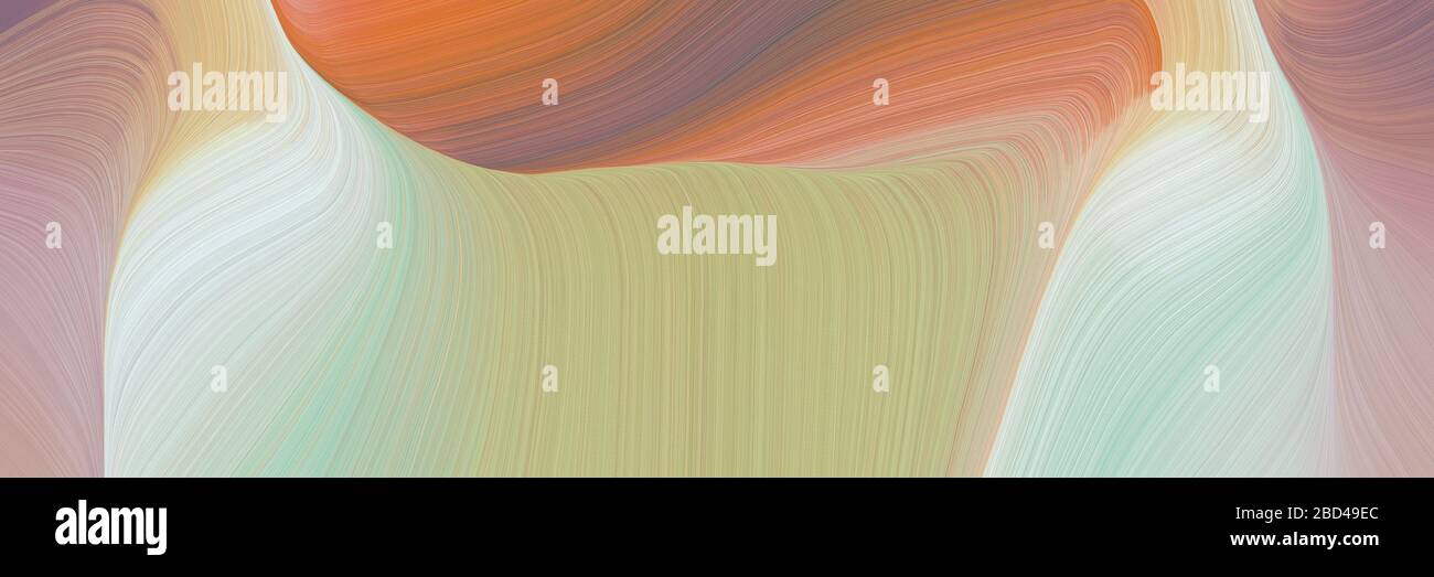 decorative background graphic with modern curvy waves background ...