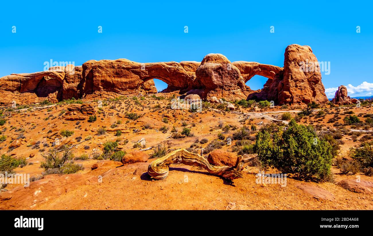 The South Window Arch in the Windows Section in the desert landscape of ...