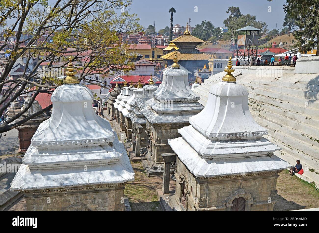 Pashupatinath Temple is a famous and sacred Hindu temple complex that ...