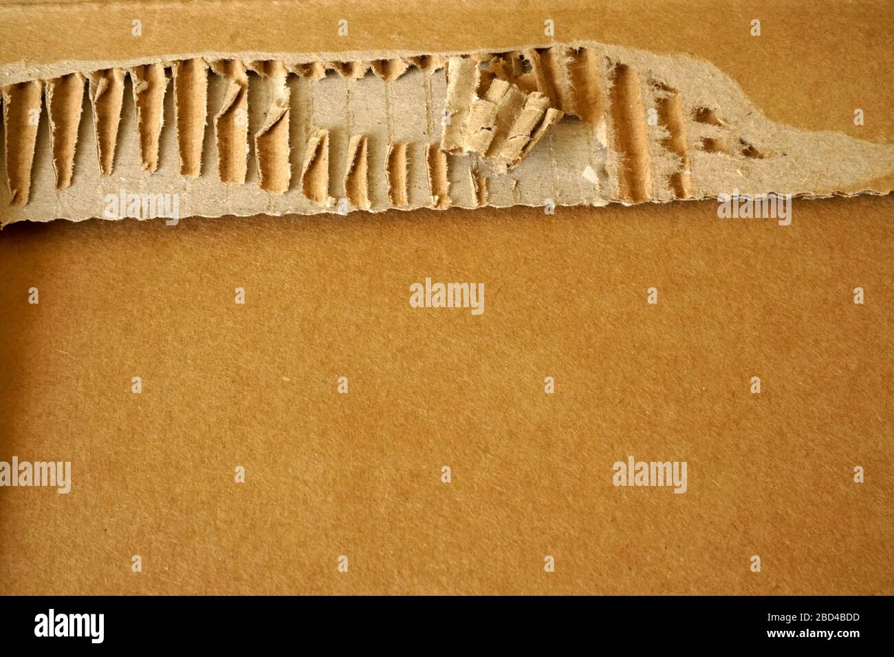 Corrugated containerboard hi-res stock photography and images - Alamy