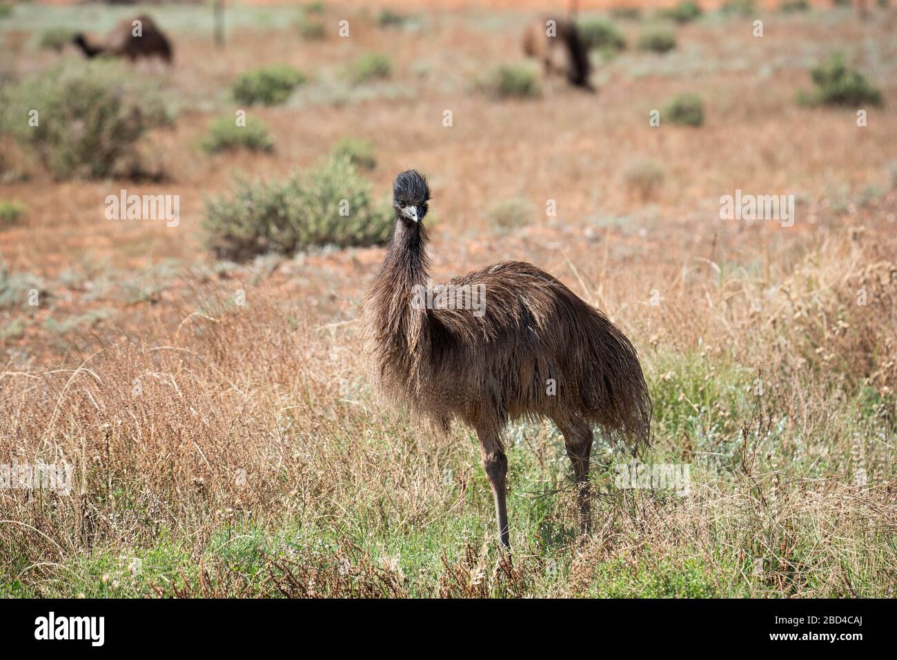 Checking arms hi-res stock photography and images - Alamy