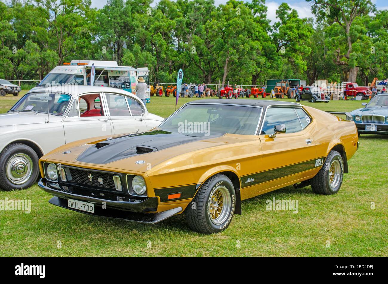 1973 Ford Mach 1 Mustang Stock Photo - Alamy
