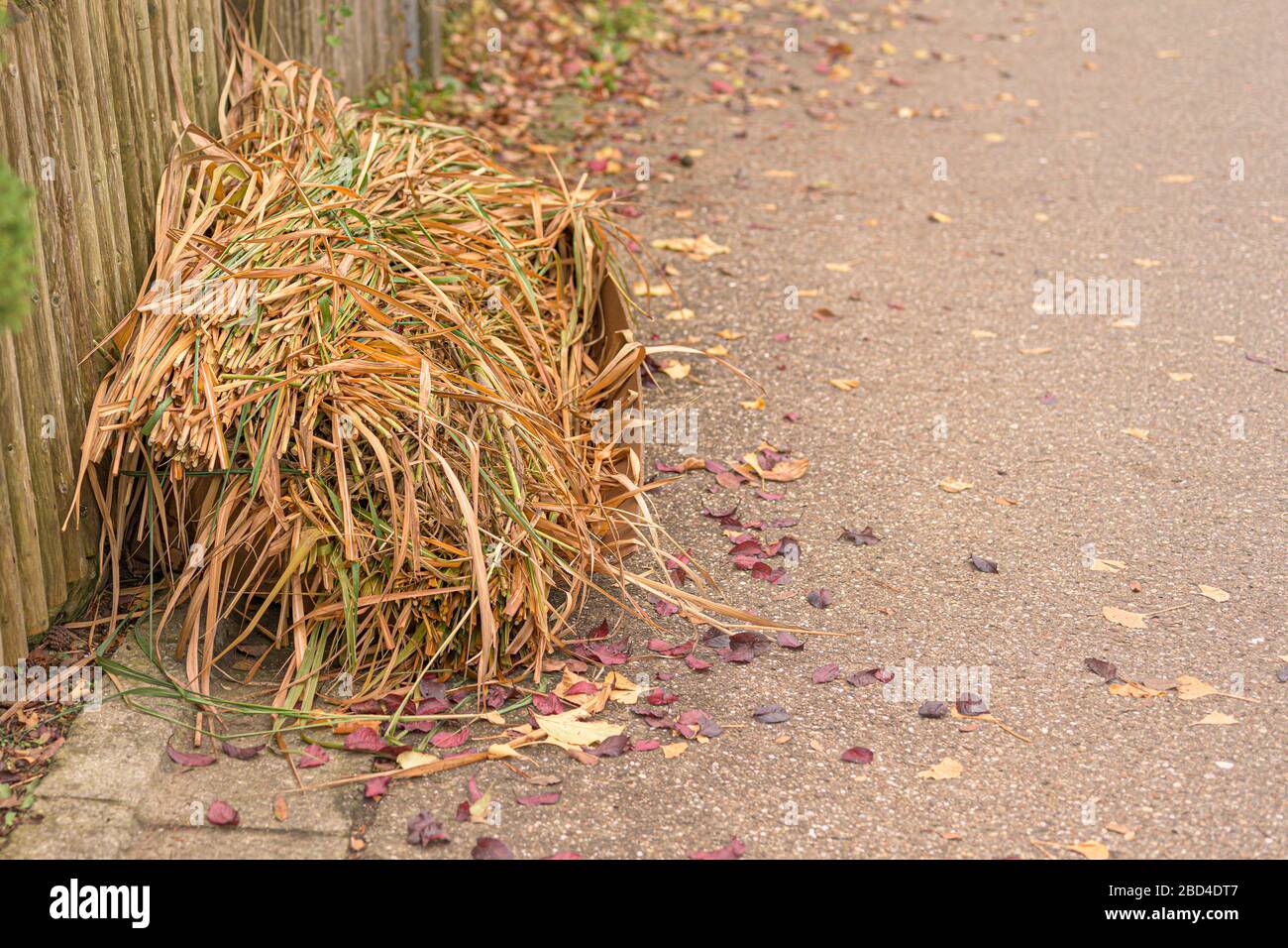 Garden waste from cutting shrubs and plants. Standing by the road and ...