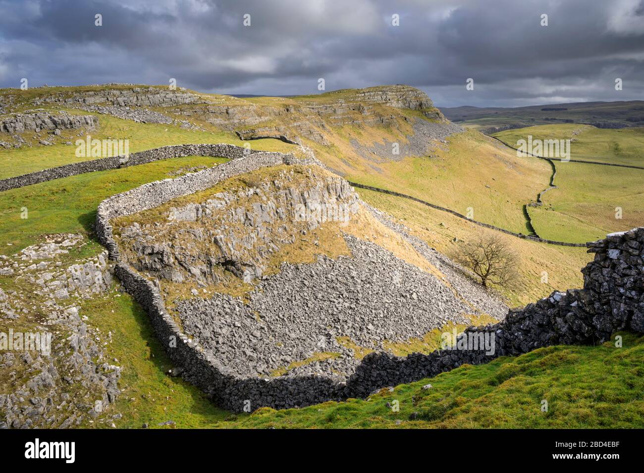 Scar hi-res stock photography and images - Alamy