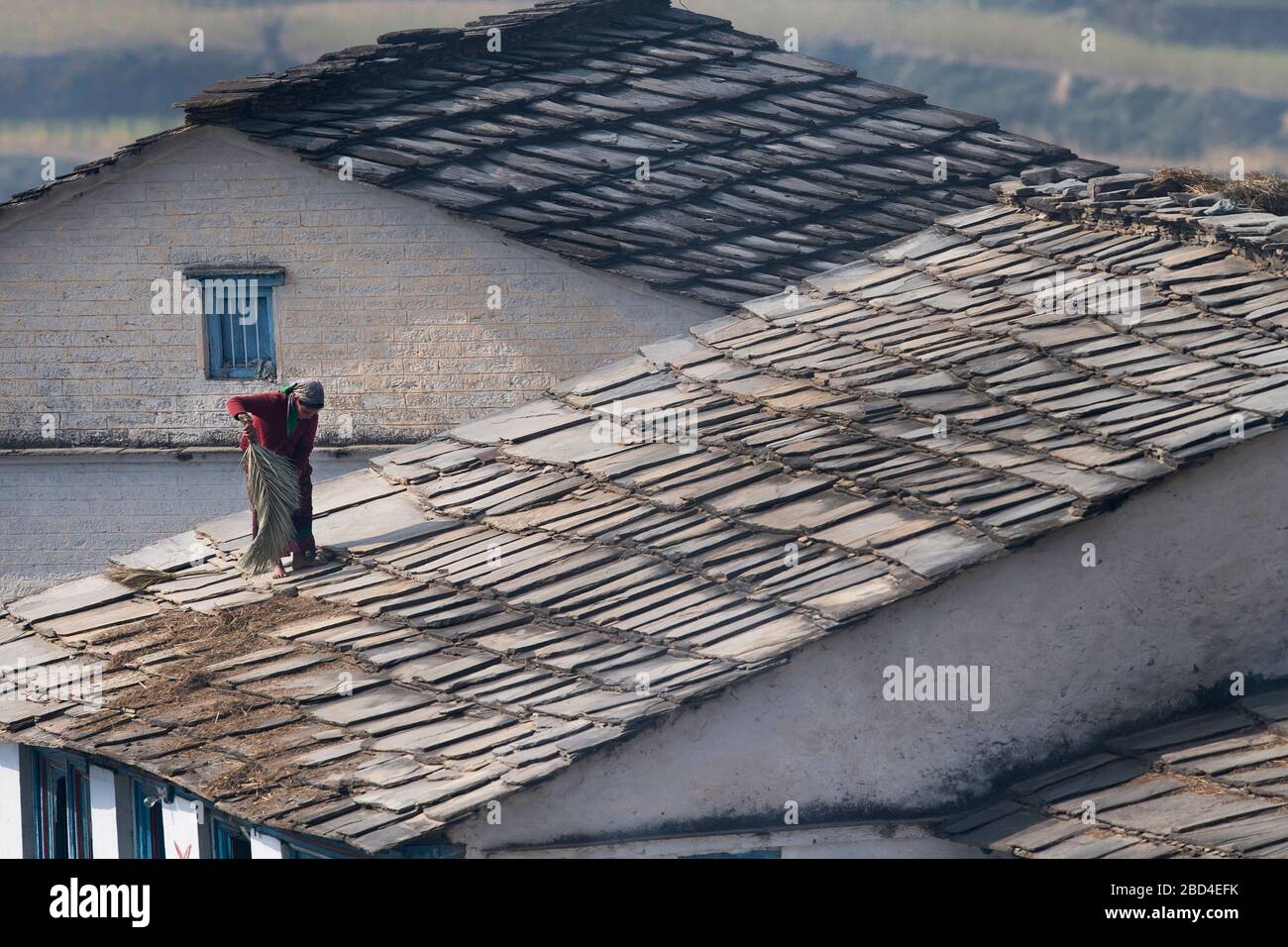The image of Local village lady on the house roof in Sitlakhet, Almora ...