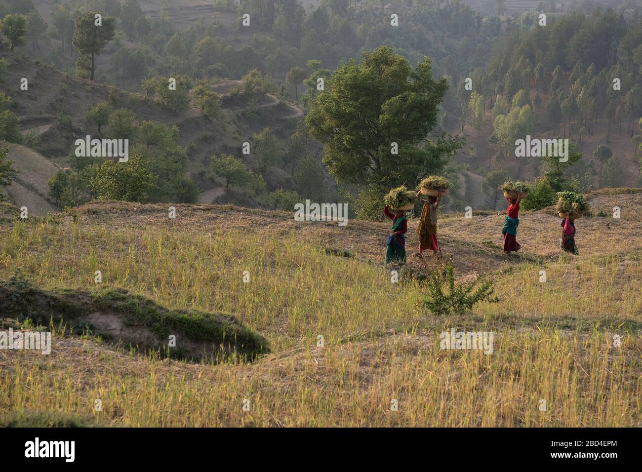 Kumaoni village hi-res stock photography and images - Alamy