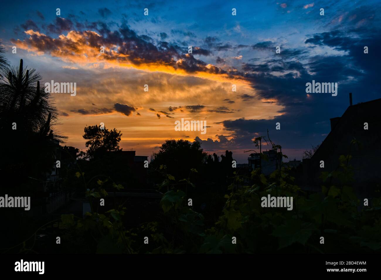 Beautiful view of clouded sky with lush green pine and walnut trees at ...