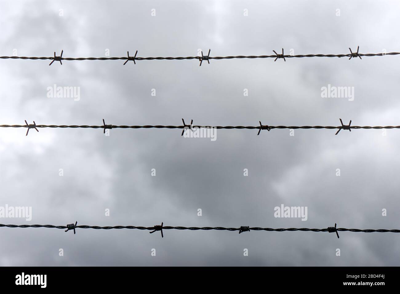 Horizontal Lines In Photography