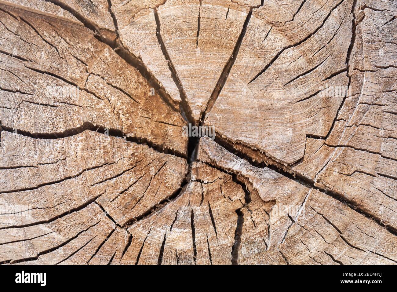 Cracked wood hi-res stock photography and images - Alamy