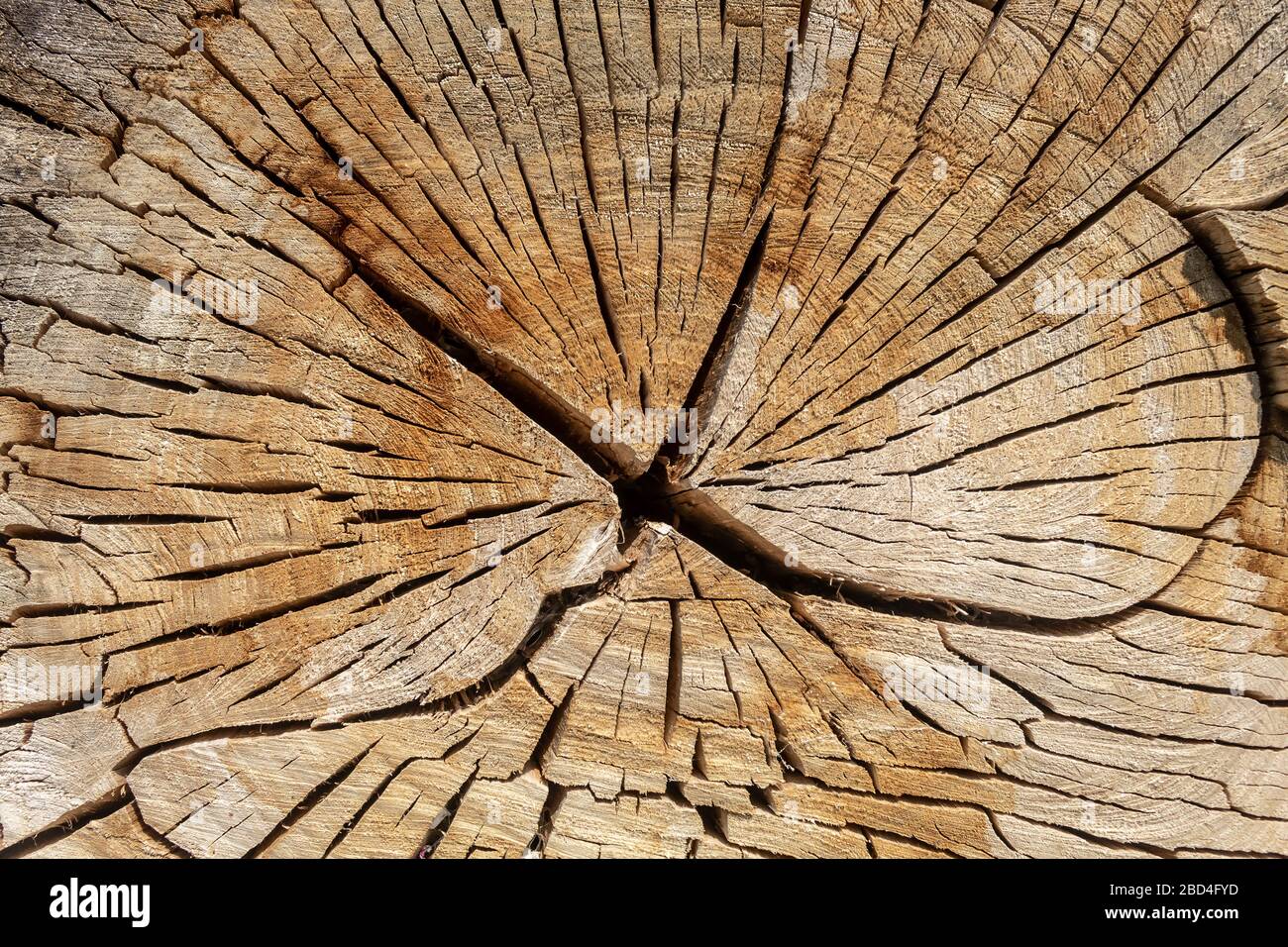 Old Weathered Cracked Wood Texture Stock Photo - Alamy