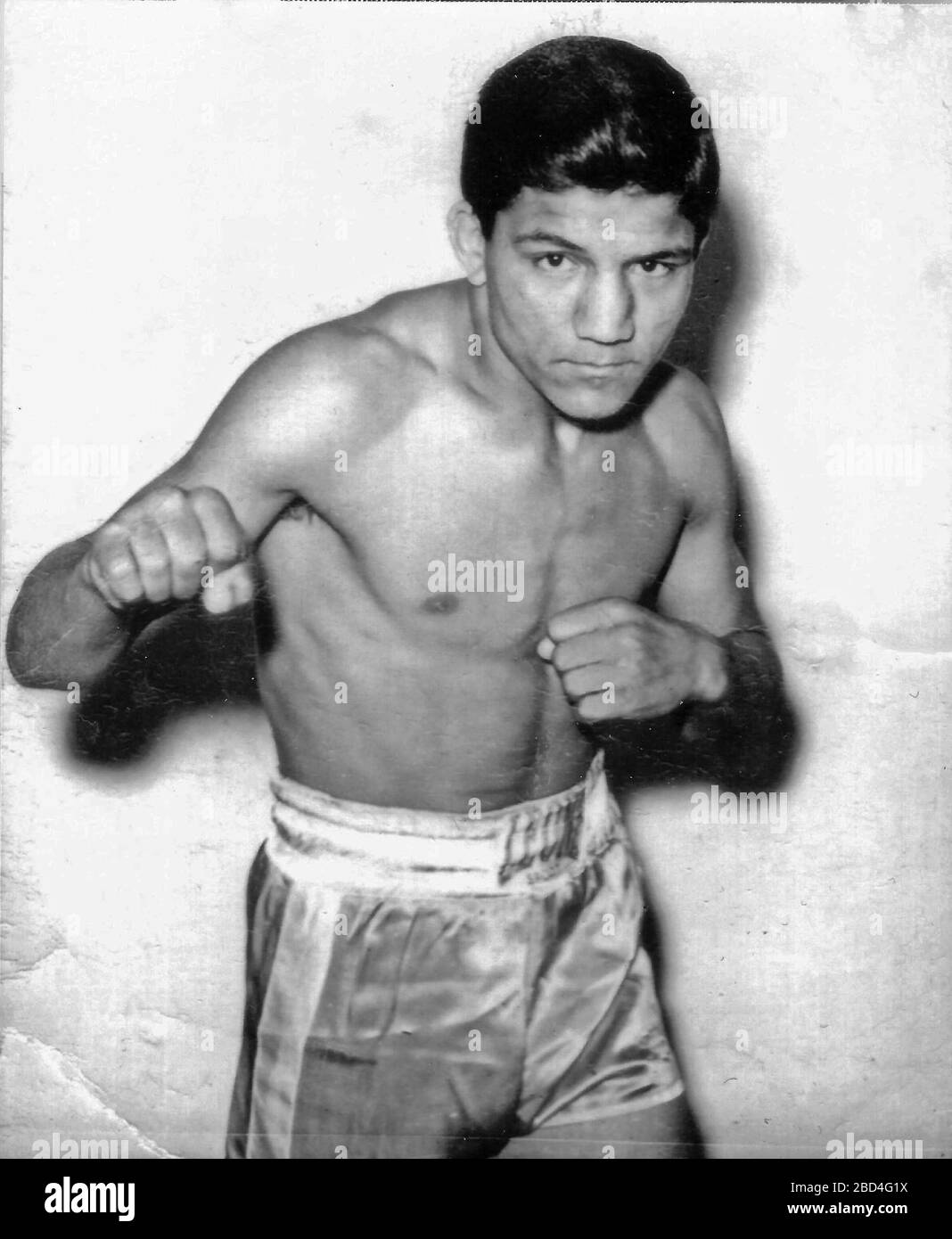 1960s italian boxer hi-res stock photography and images - Alamy