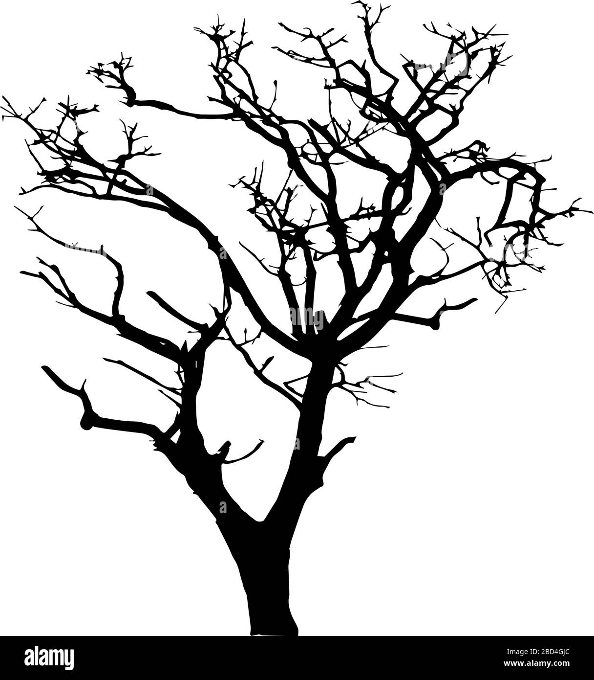 Old leafless tree silhouette vector illustration Stock Vector Image ...