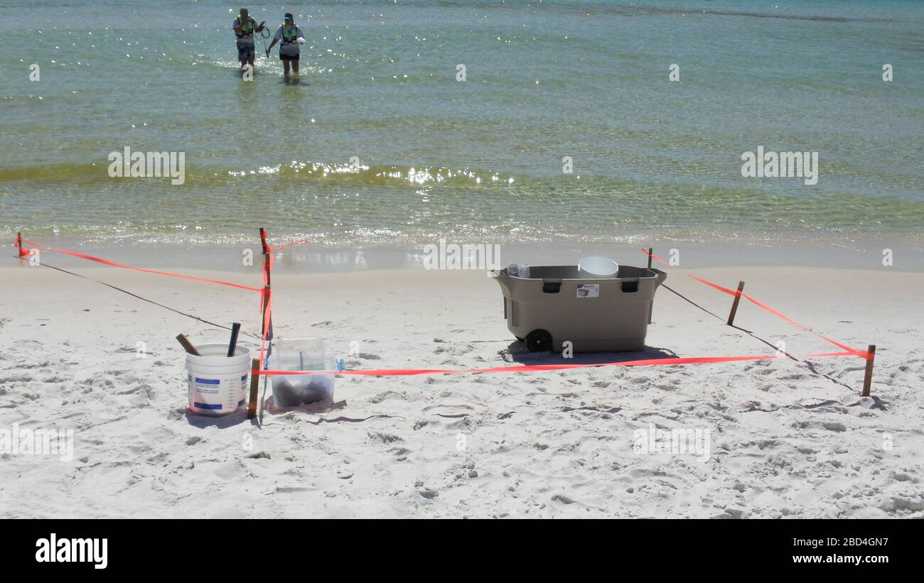 Sampling sediment after oil spill hi-res stock photography and images ...