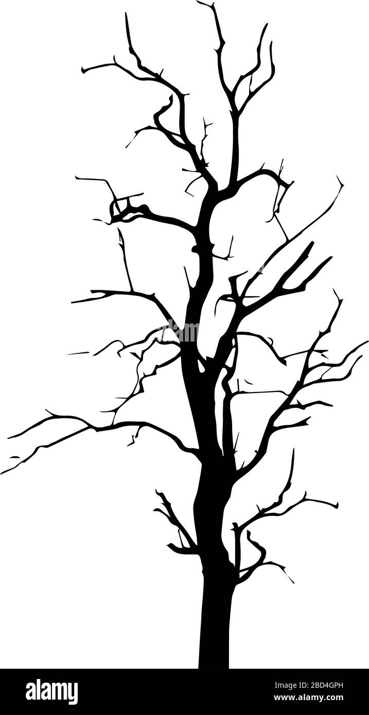 Old leafless tree silhouette vector illustration Stock Vector Image ...