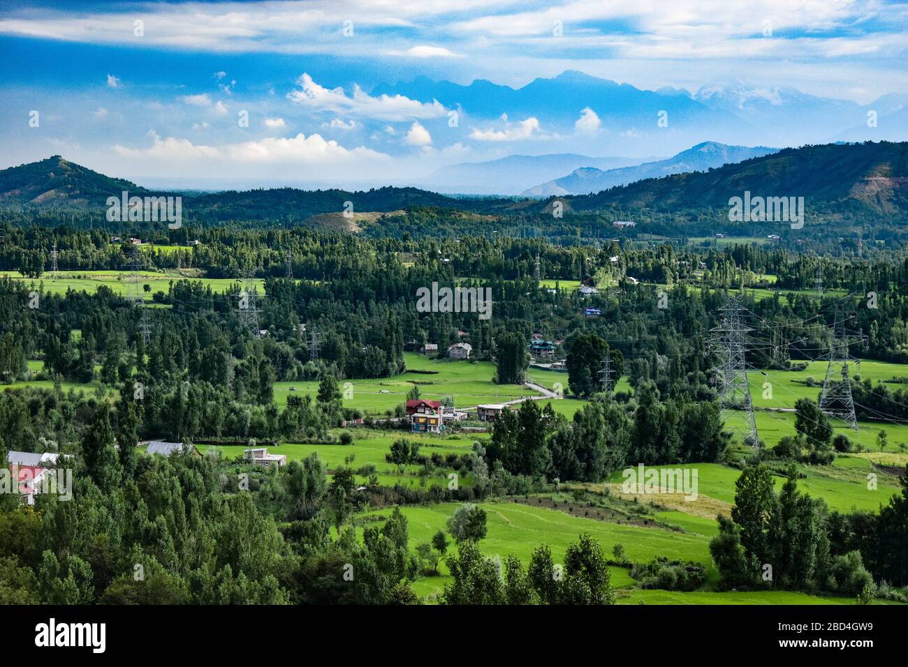 Beautiful view of Paddy fields with beautiful blue sky at Pahalgam ...