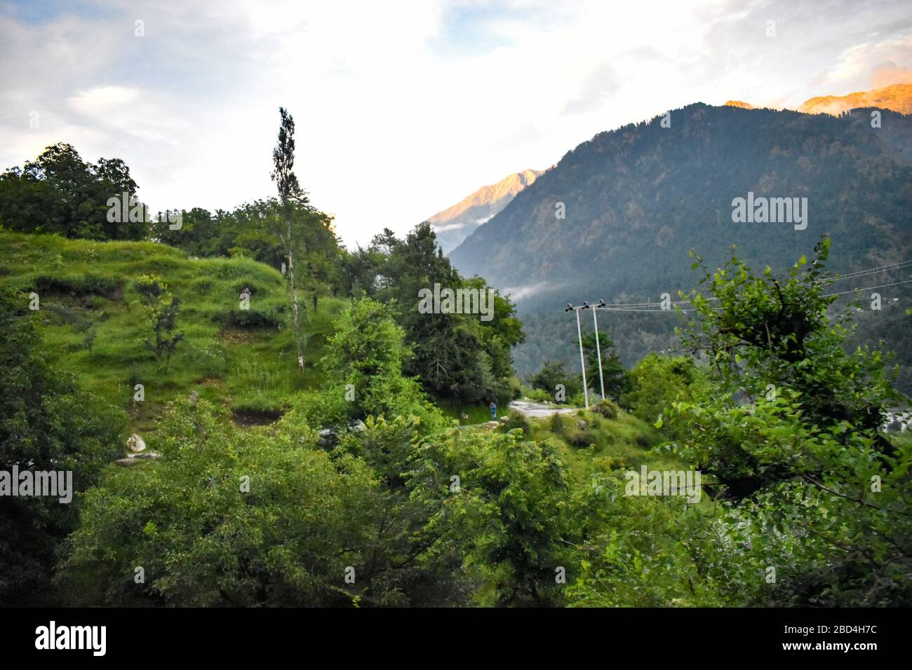 Beautiful view of Paddy fields with beautiful blue sky at Pahalgam ...