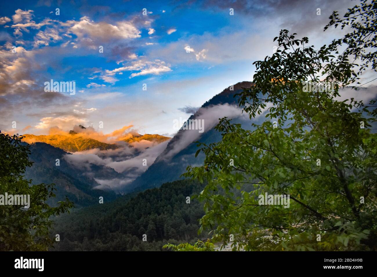 Beautiful view of clouded sky with lush green pine and walnut trees at ...