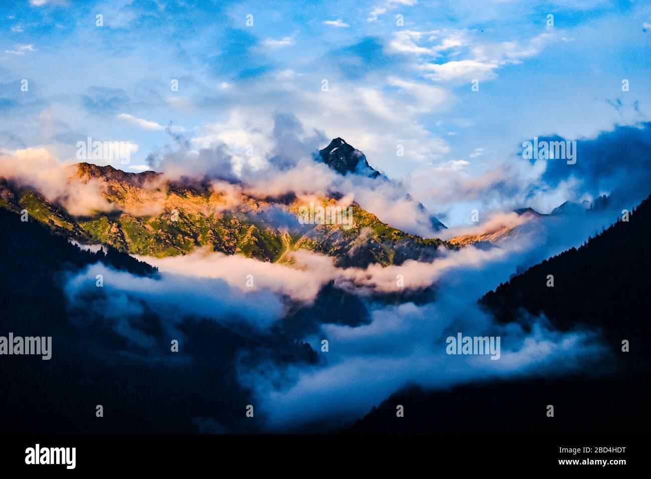 Beautiful view of clouded sky with lush green pine and walnut trees at ...
