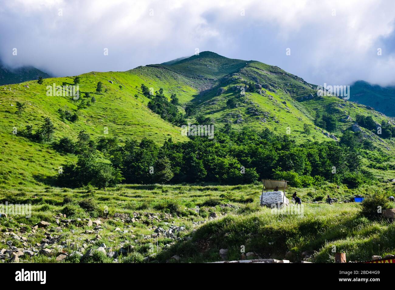 A beautiful eye catching view of lush green mountains at Ramban Kashmir ...
