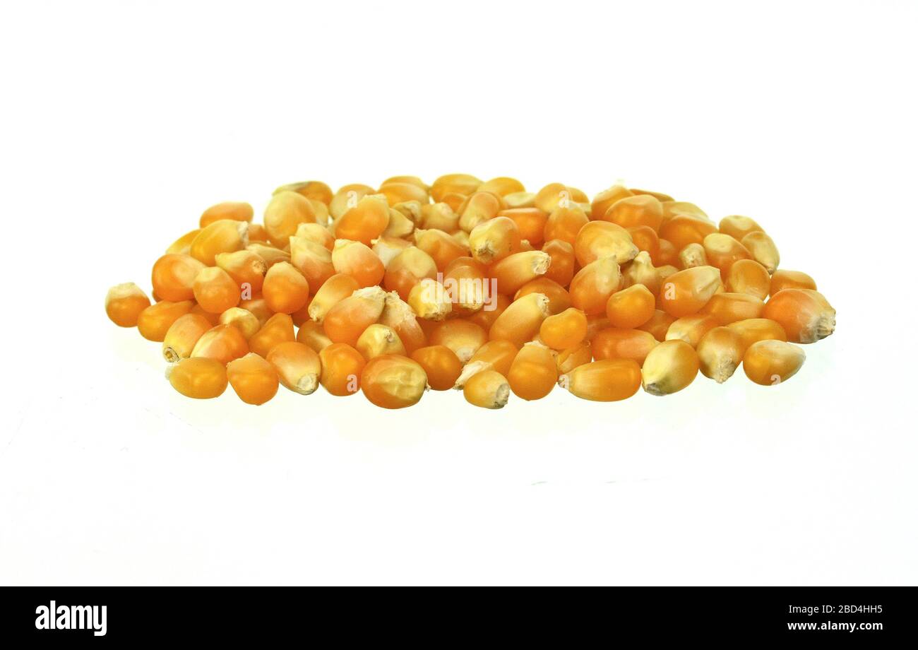 Golden sweetcorn, Popcorn, texture, Background Stock Photo - Alamy
