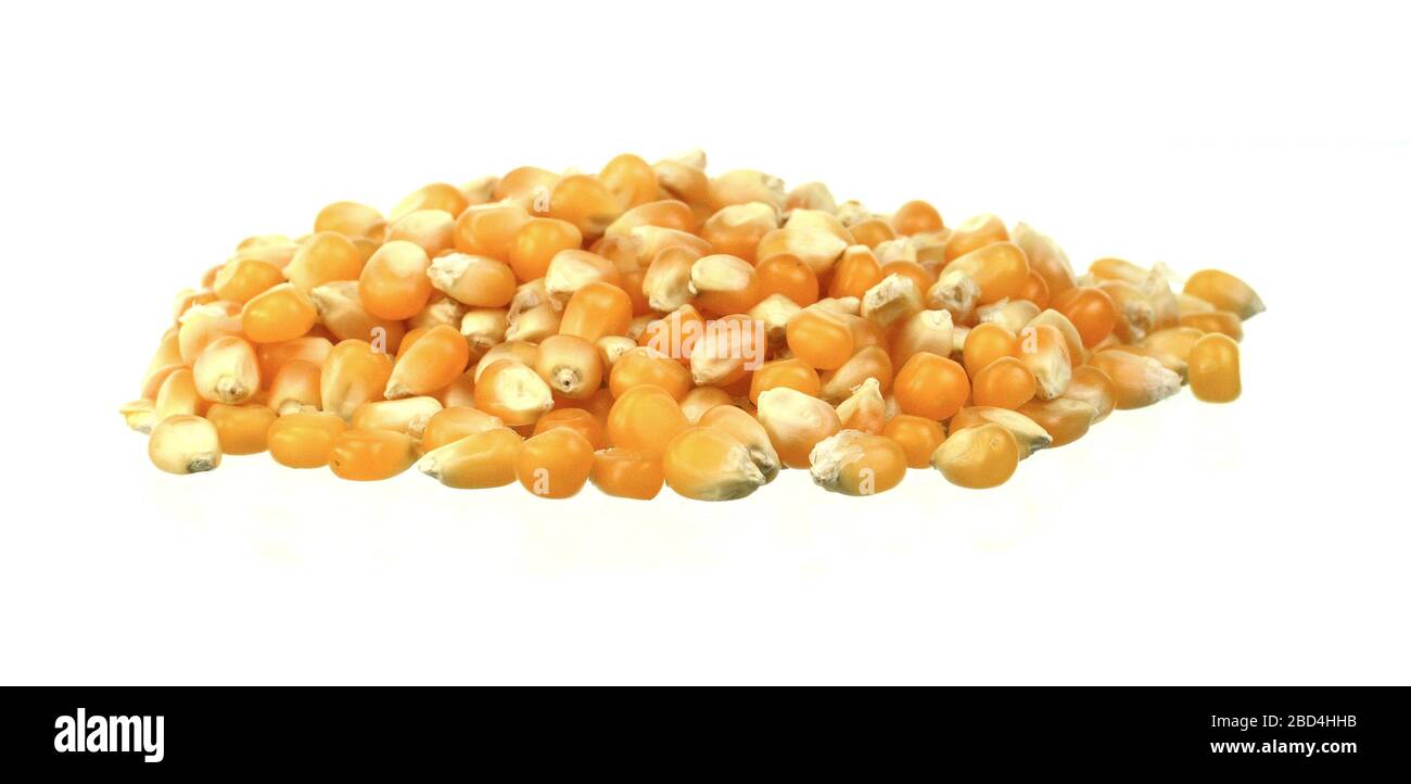 Golden sweetcorn, Popcorn, texture, Background Stock Photo - Alamy
