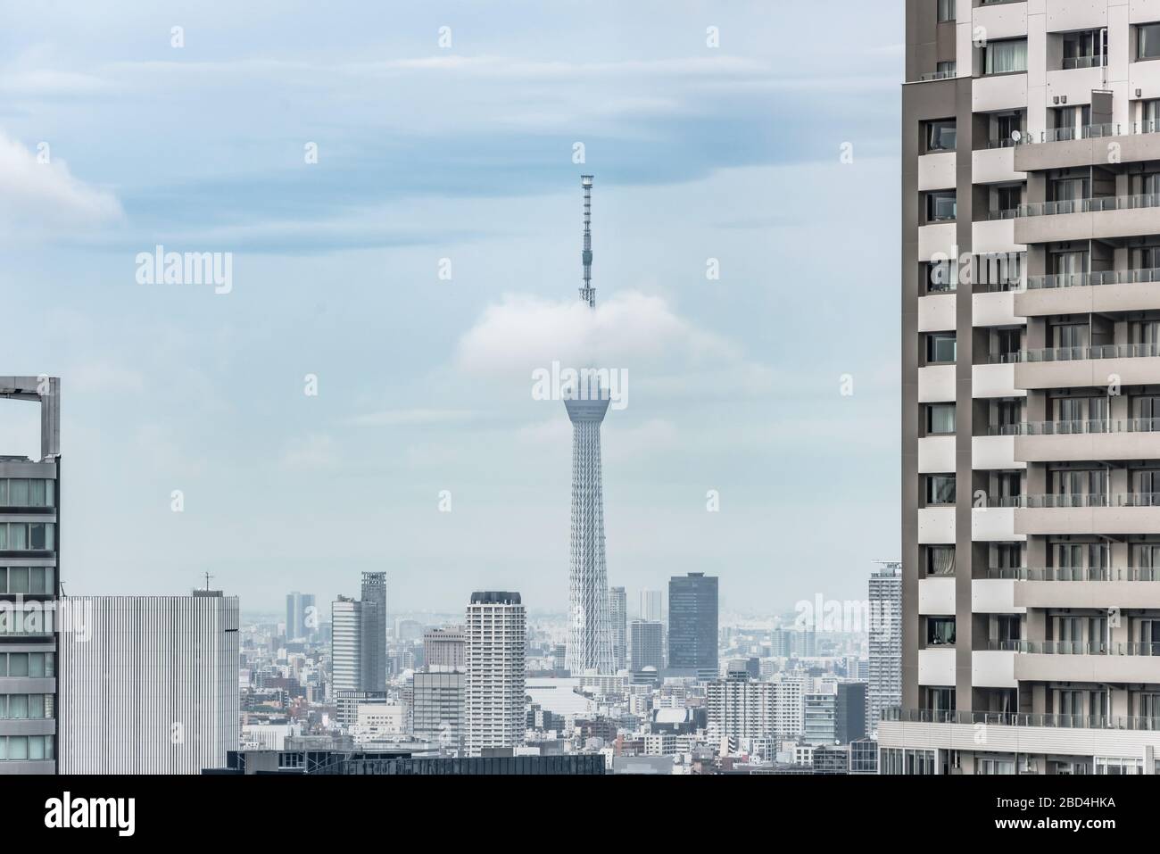 Tokyo, Japan - Sep 27, 2018: Tokyo cityscape view from observatory of ...