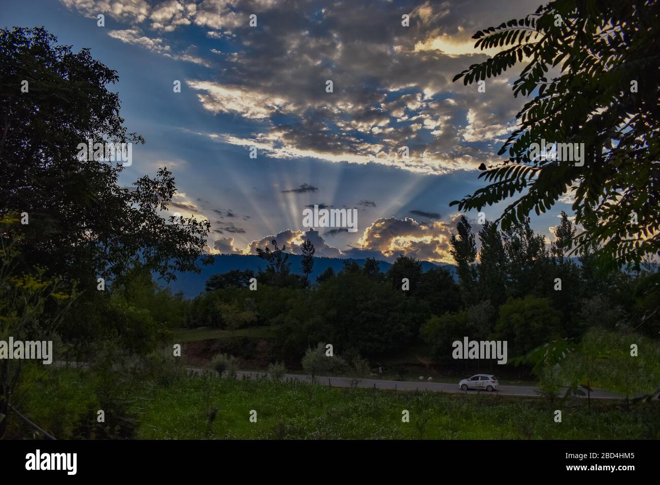 Beautiful view of clouded sky with lush green pine and walnut trees at ...