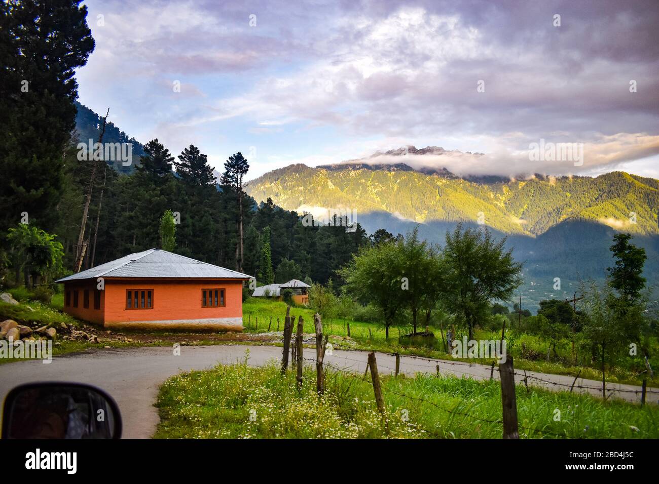 Beautiful view of Paddy fields with beautiful blue sky at Pahalgam ...
