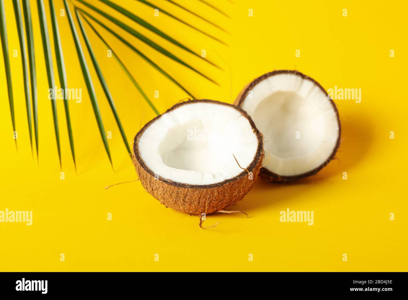 Coconut halves palm branch hi-res stock photography and images - Alamy