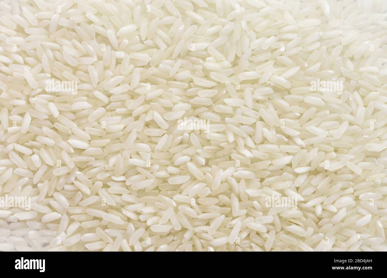 rice isolated on a white background Stock Photo - Alamy