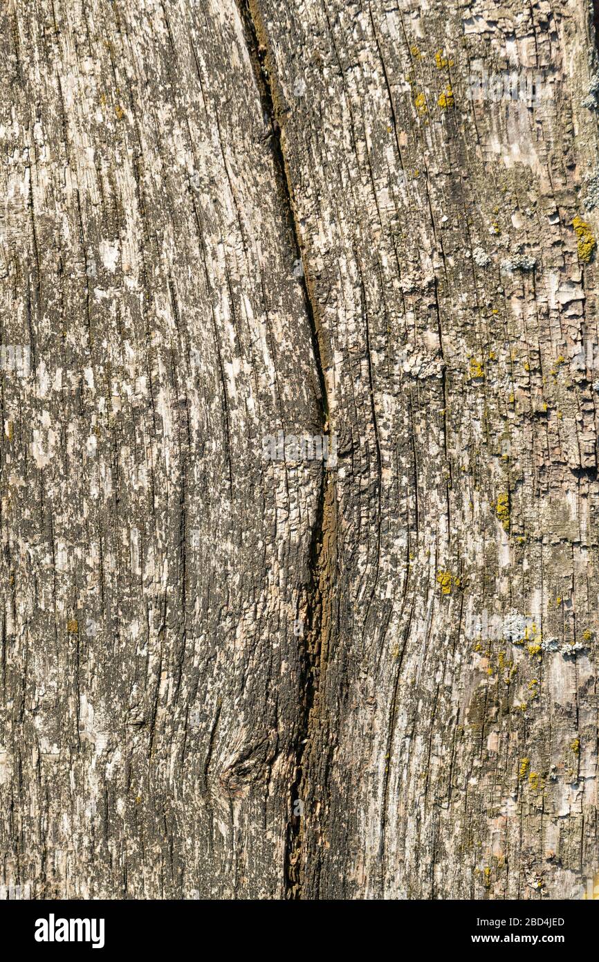 Weathered surface hi-res stock photography and images - Alamy