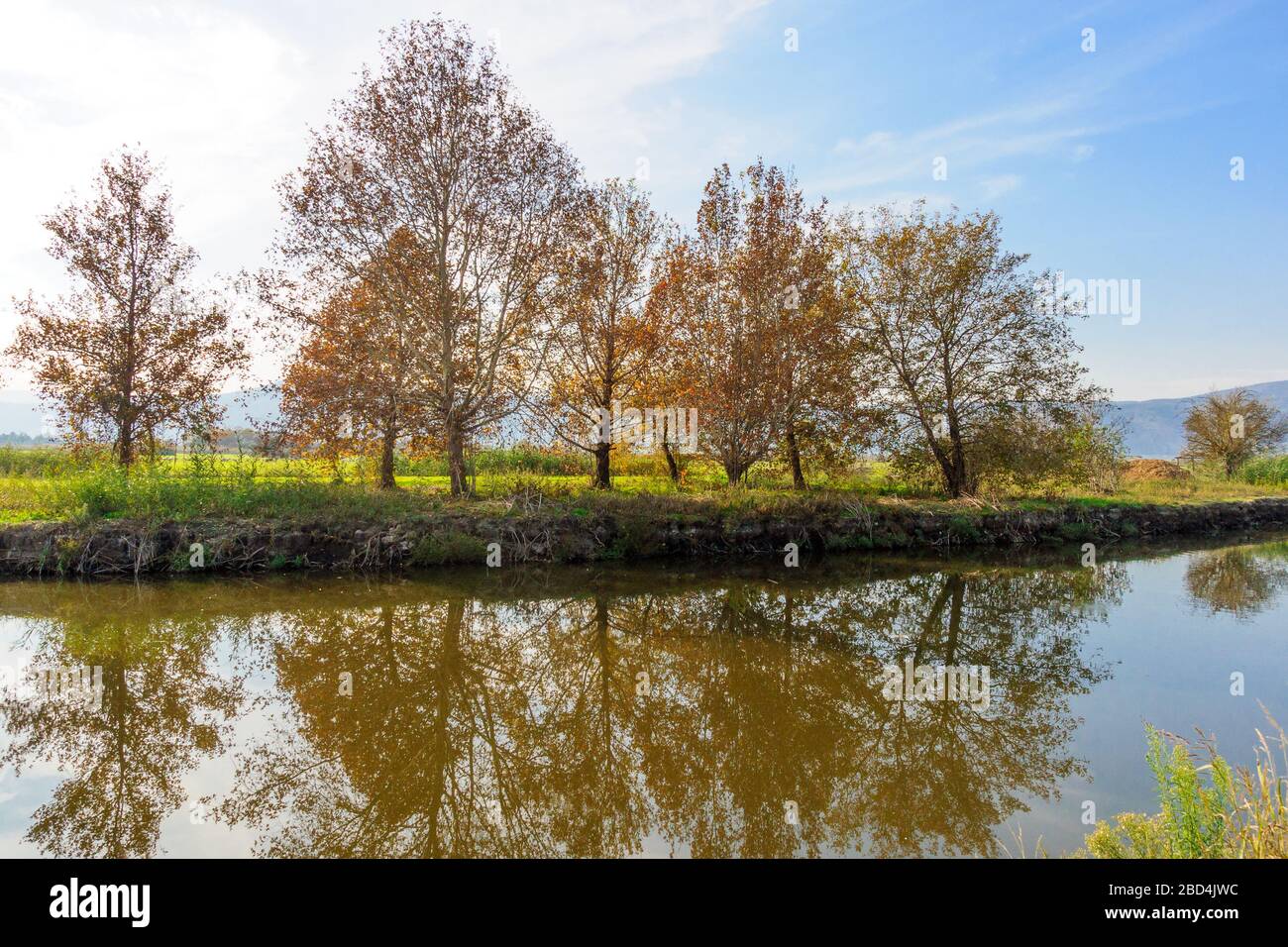 Trees and reflection in the Hula valley, Northern Israel Stock Photo ...
