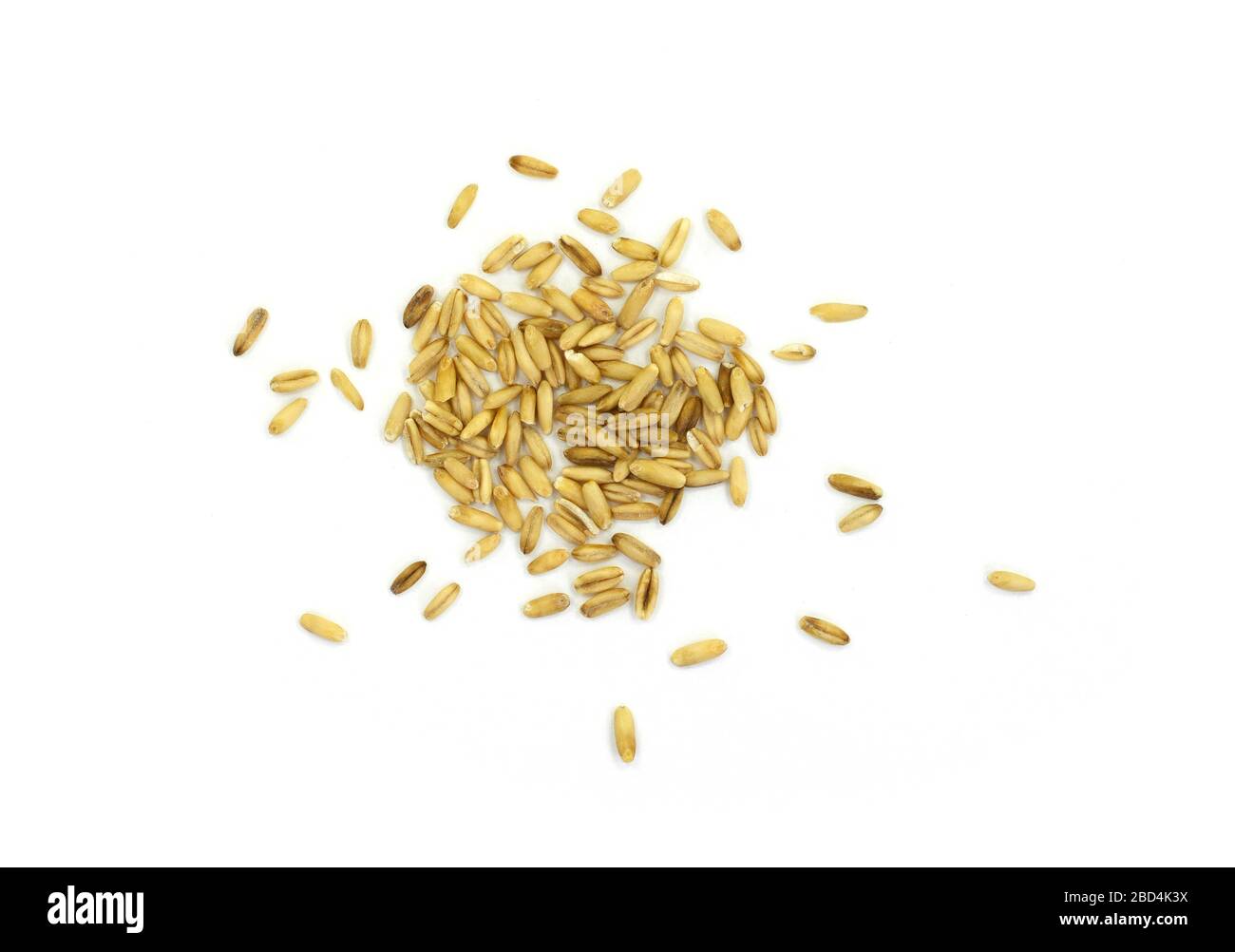 Rye grains isolated on white background Stock Photo - Alamy