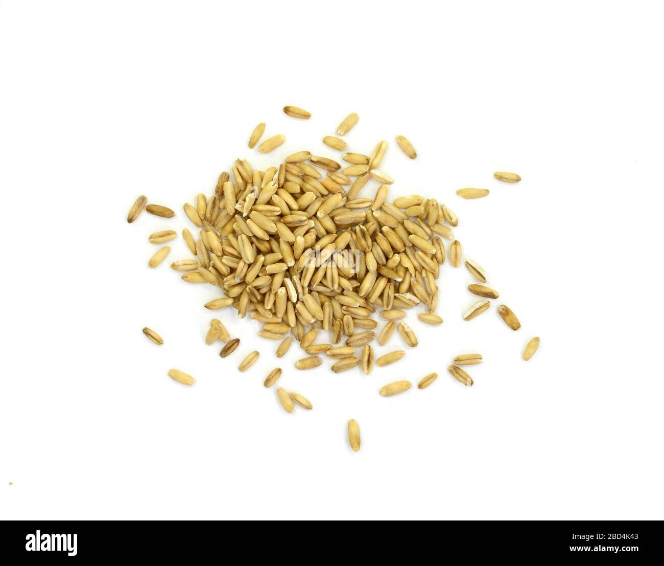Rye grains isolated on white background Stock Photo - Alamy